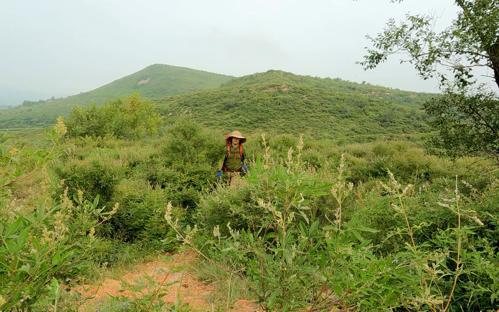 ...度,短裤+护腿+长袖+大檐帽模式防晒散热,训练储备为武功山与贺兰山