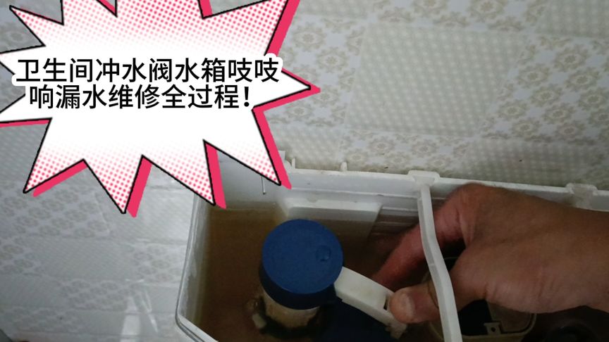 实操:卫生间冲水阀水箱吱吱响漏水,看很哥不用换配件拆装维修!