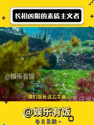 雀鲷:我的命可真苦啊 #娱乐评论大赏 #海洋生物 #搞笑 #动物世界