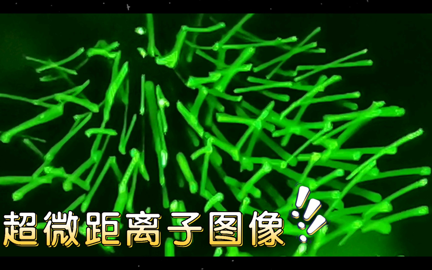 超微距&放大—囚禁离子动态物理图像