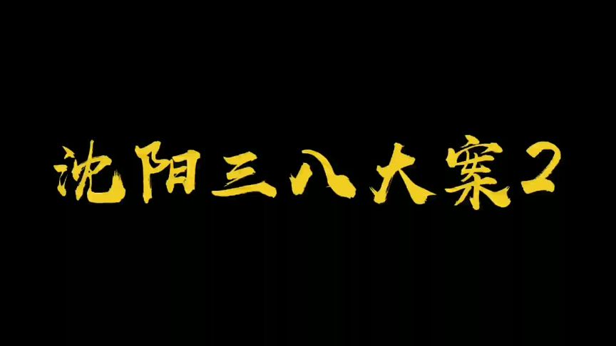 沈阳三八大案纪实。(二)