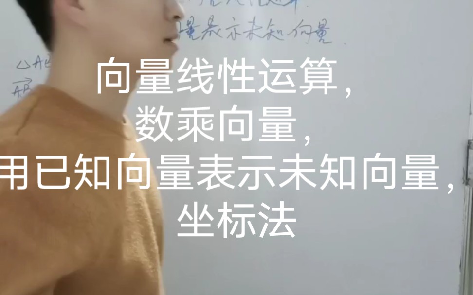 向量线性运算,数乘向量,用已知向量表示未知向量,坐标法