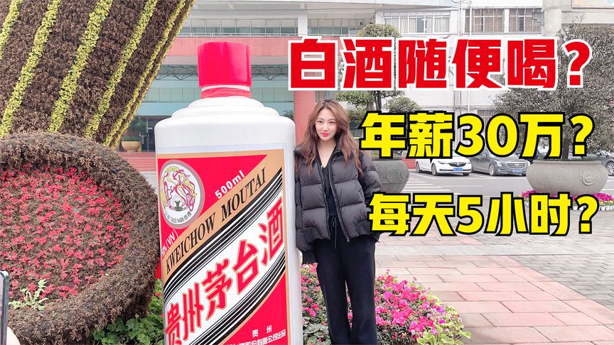 飞天随便喝?年薪30万!茅台酒厂薪资待遇曝光,看完你羡慕吗