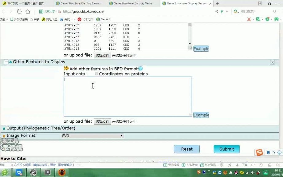 【软件操作】JSHY-GSDS:在线绘制基因结构示意图