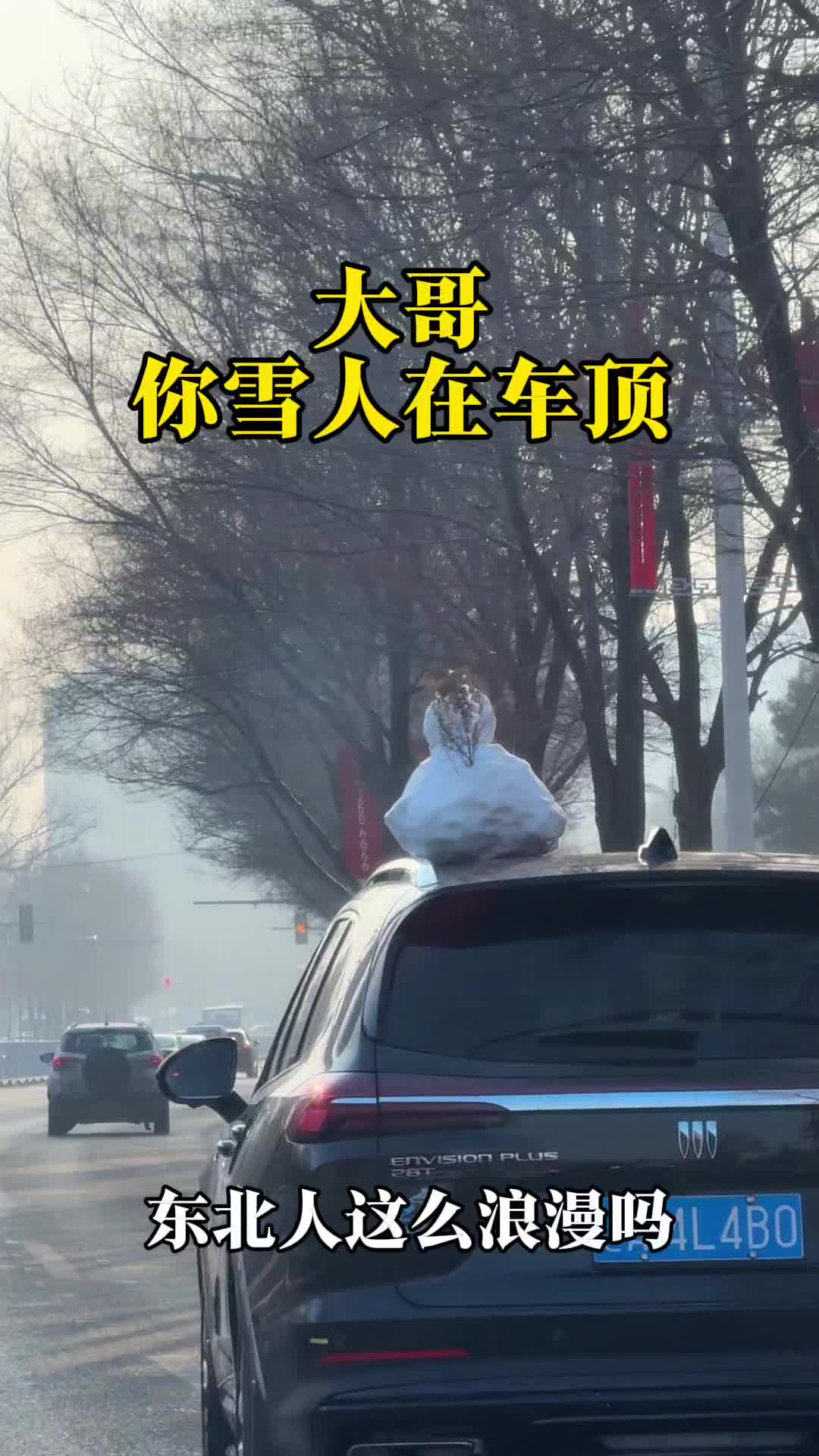 大哥,你雪人在车顶!到家别化了啊#东北 #东北旅游攻略 #下雪了 #人类...