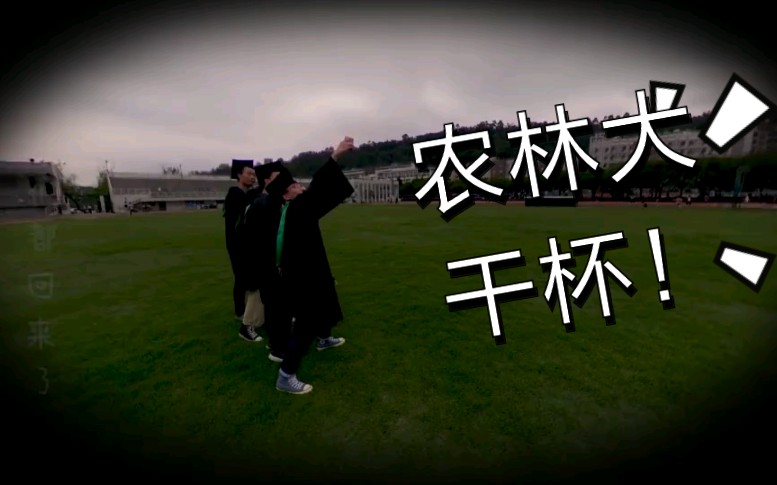 【干杯!】在福建农林大学过完大学生活是一种怎样的体验?