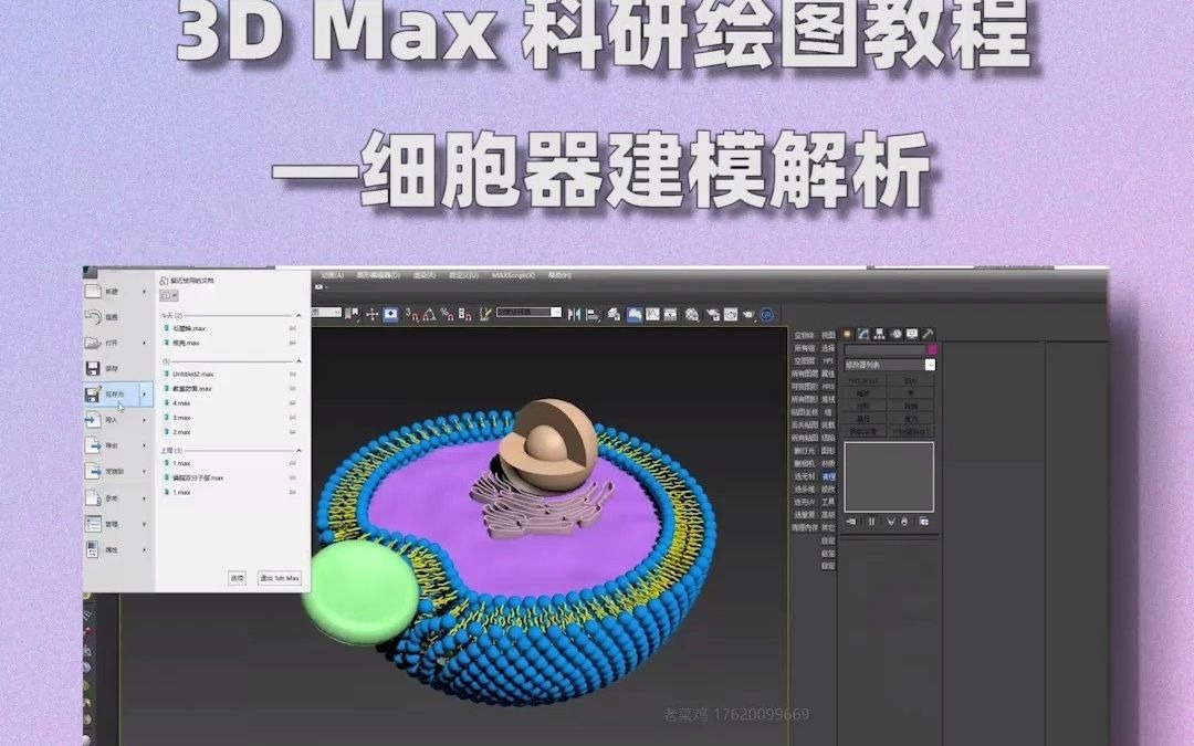 细胞器建模