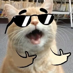 卡卡6408 