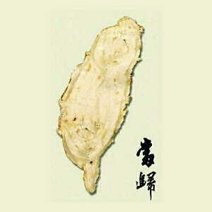 救世主III 