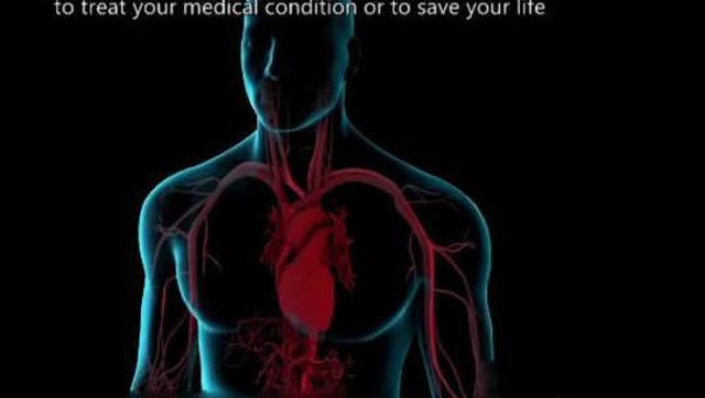 3D动画演示人体血液及输血过程,形象生动受益匪浅