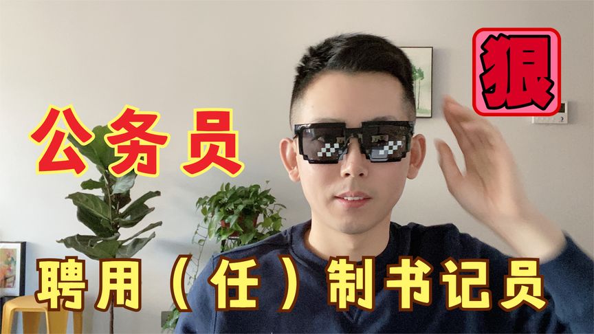 公务员、聘用（任）书记员差别是什么？薪资待遇是多少？