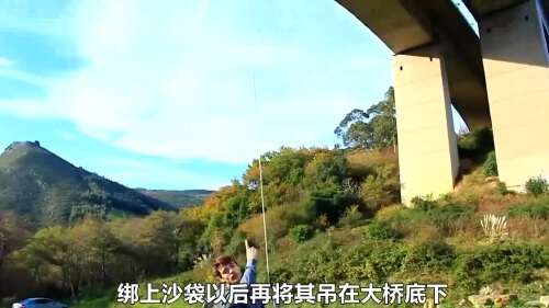 傅科摆实验观测地球自转速度与摆长关系的详细实验记录