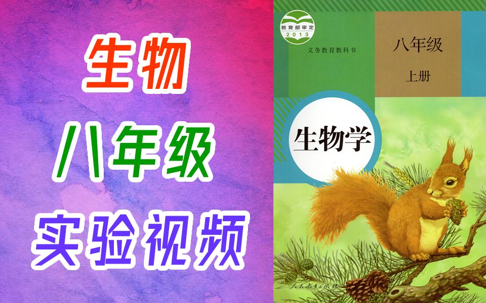 初二生物八年级生物 实验视频 生物学实验室教学视频 八年级上册...