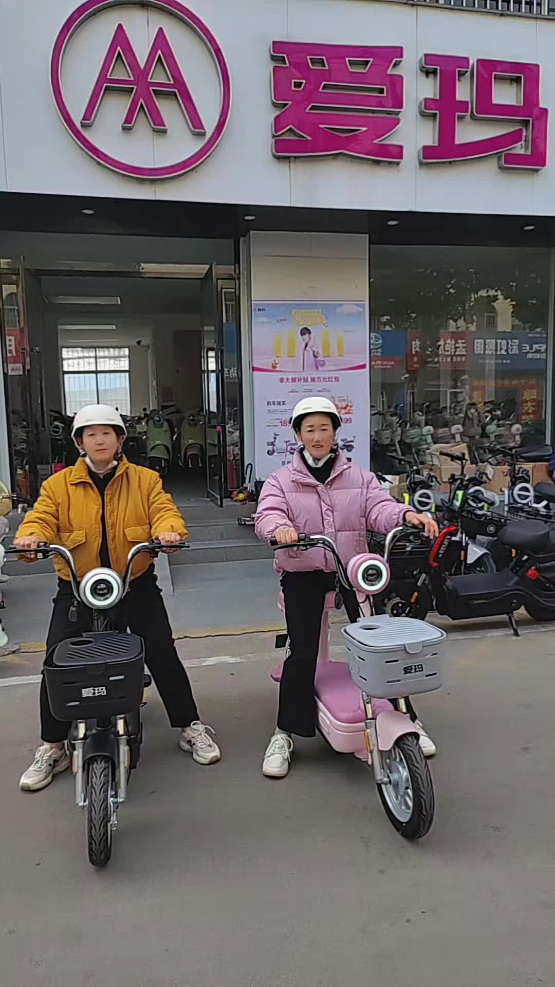 新国标和新新国标,究竟谁更胜一筹?#我为沂源爱玛代言#沂源爱玛电动...