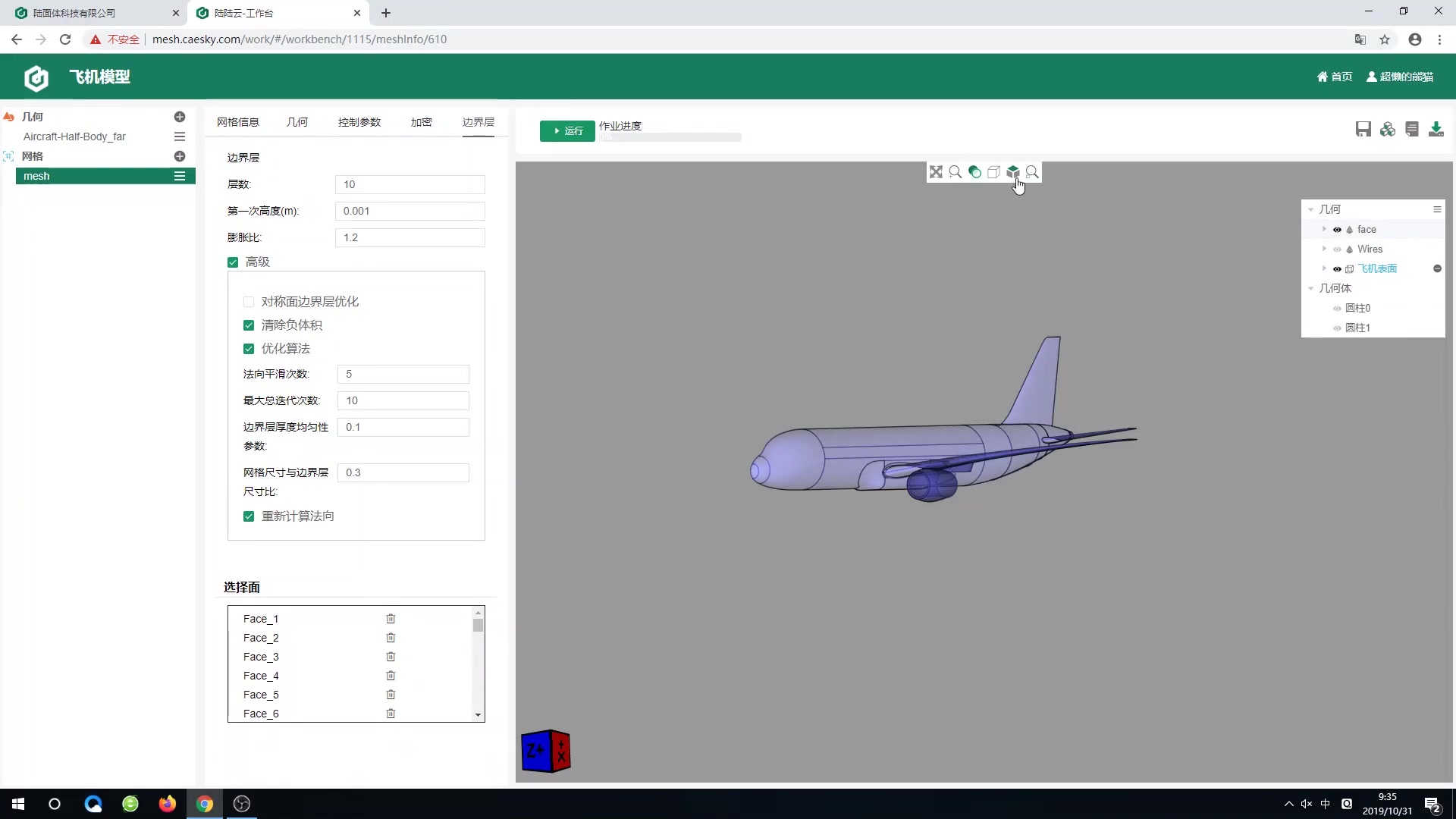 项目操作演示 网格自动化生成