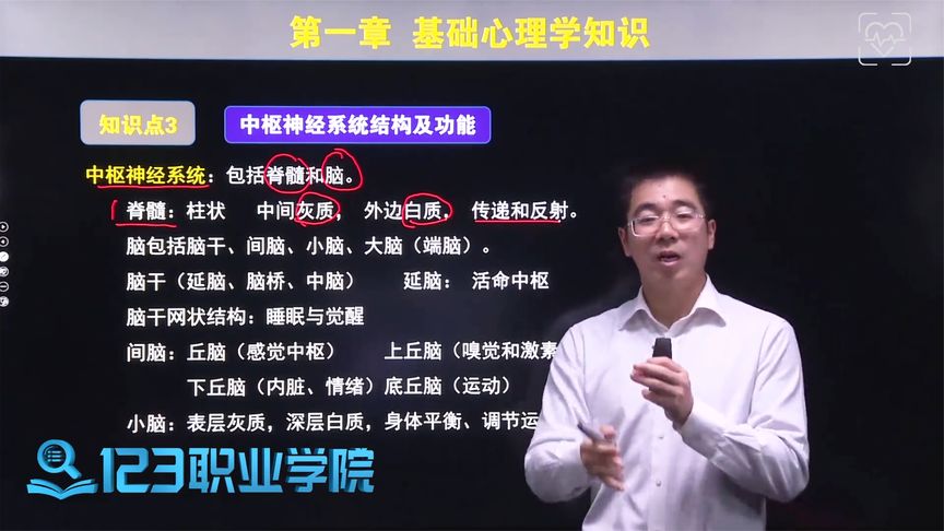 【重点】你不知道的大脑!中枢神经元结构分类及各自的功能!