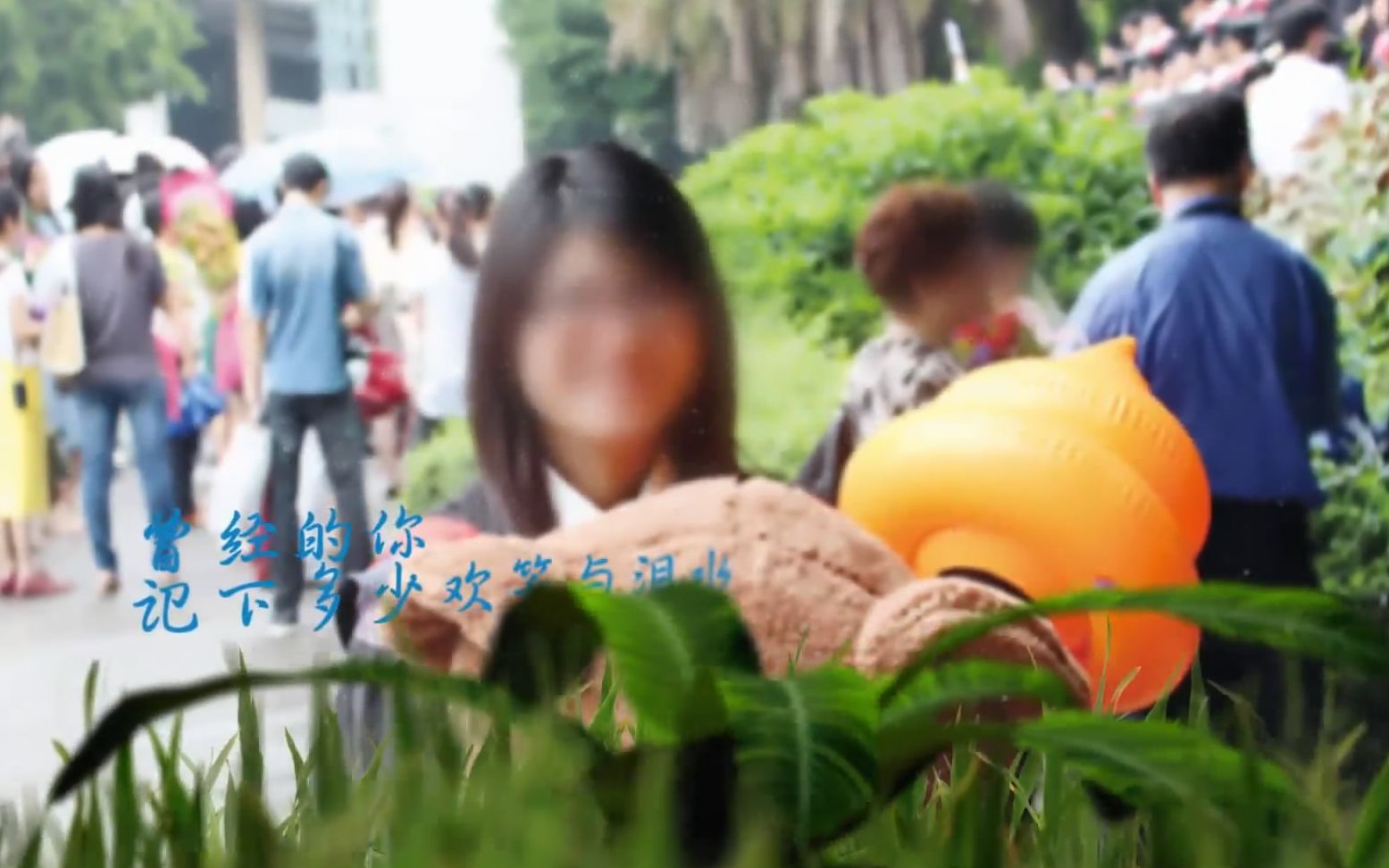 ...曲面照片展示同学会开场视频片头ae模板ae特效 视频片头 会声会影 ...
