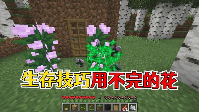 我的世界:超实用的生存小技巧,有骨粉就有无限染料啦!