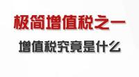 极简增值税之一: 增值税究竟是什么