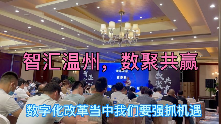 同我参加温州数字化经济发展论坛,产业发展,关系每个人和企业
