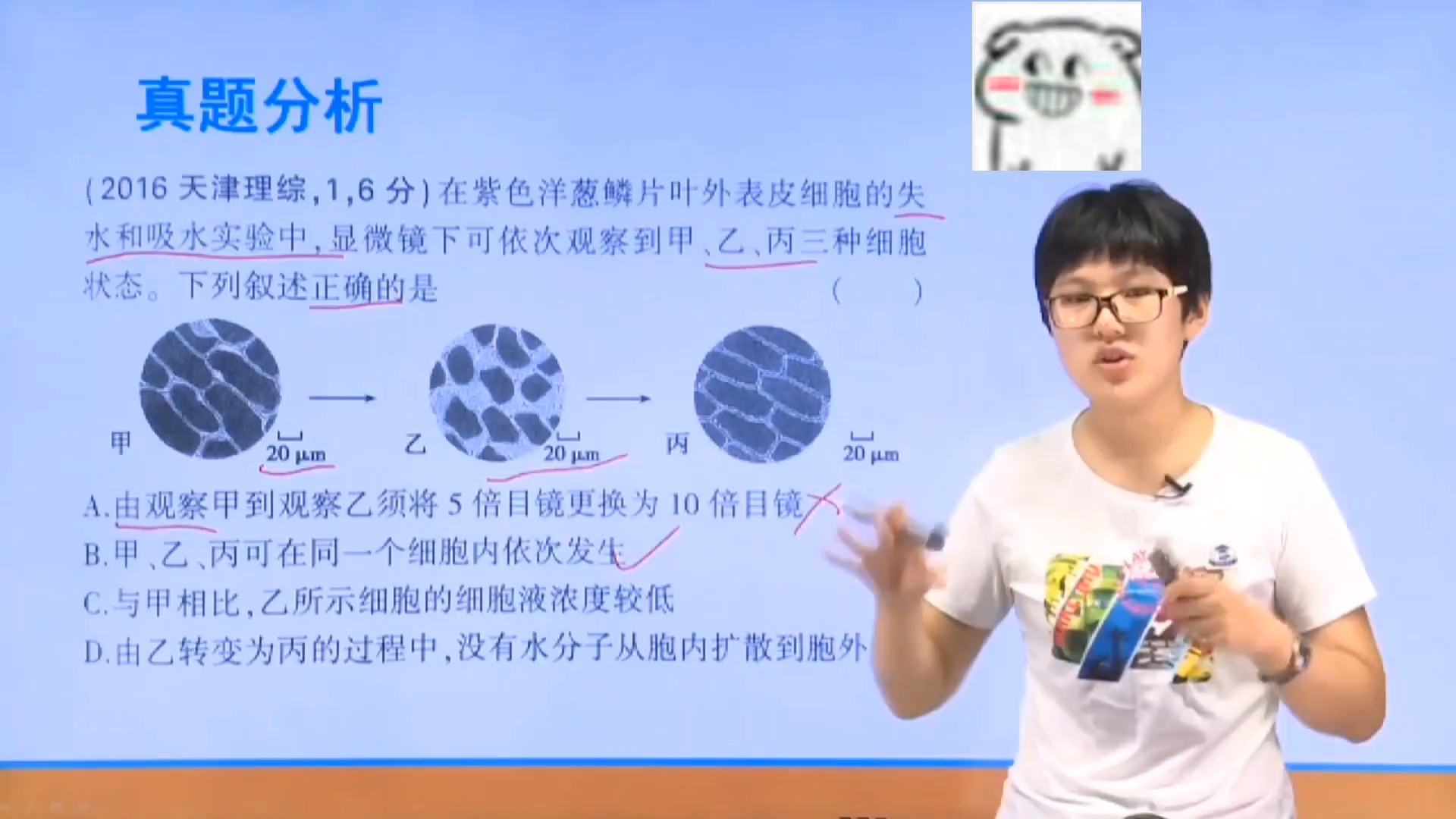 〖质壁分离〗在紫色洋葱鳞片叶外表皮细胞的失水和吸水试验中,显微...