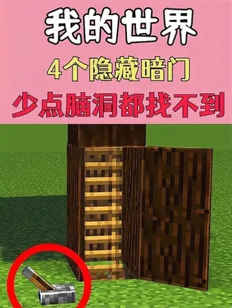 我的世界:隐蔽暗门入口建造,少点脑洞都找不到我的世界
