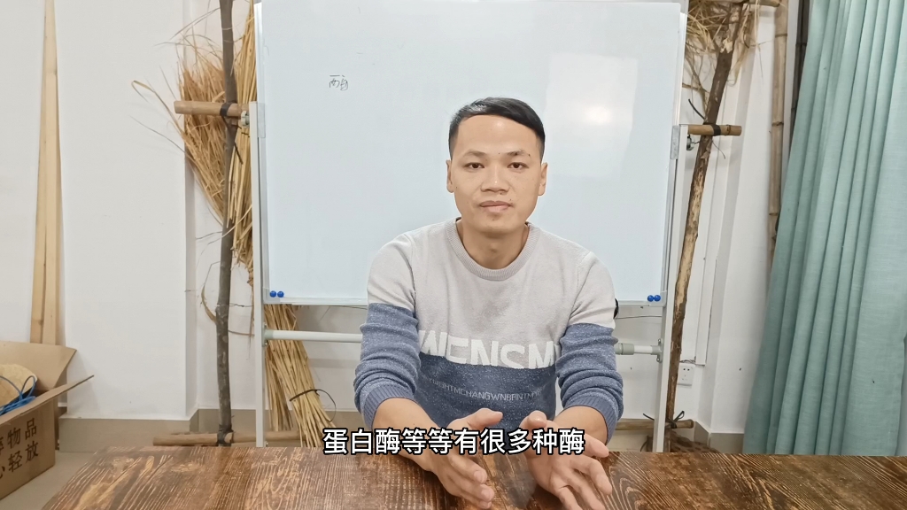 什么是酶,酶的特性和对生物化学反应作用