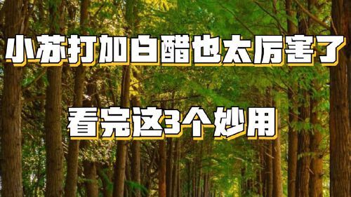 小苏打加白醋的3个神奇妙用,最后一个太实用了!
