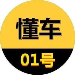 懂车01号啊 