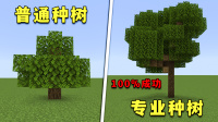 我的世界:你真的知道怎么种树吗?4个进阶隐藏特性