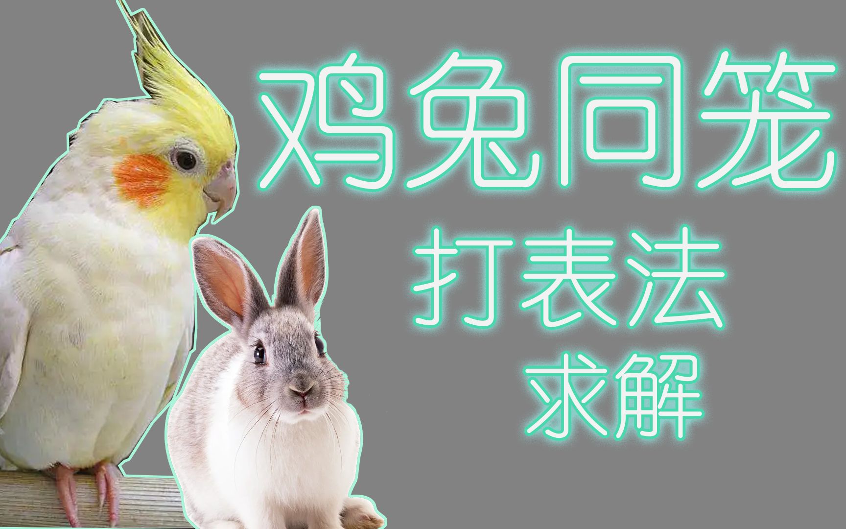 鸡兔同笼求解【打表法】