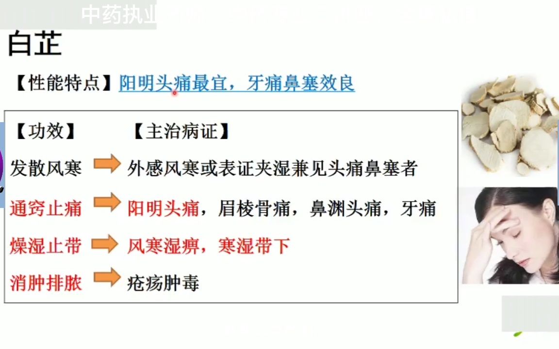 2022年中药执业药师视频《中药专业知识二》2视频全套课程请关注