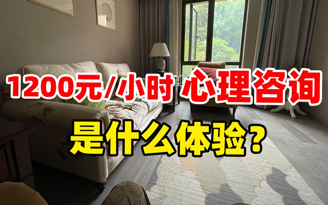 看1200元每小时的心理咨询,是什么体验?(没有抑郁症)