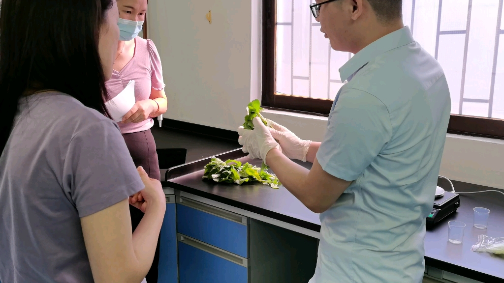 蔬菜中有机磷类农药残留检测-样品前处理技术