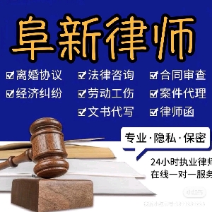 阜新法律服务 