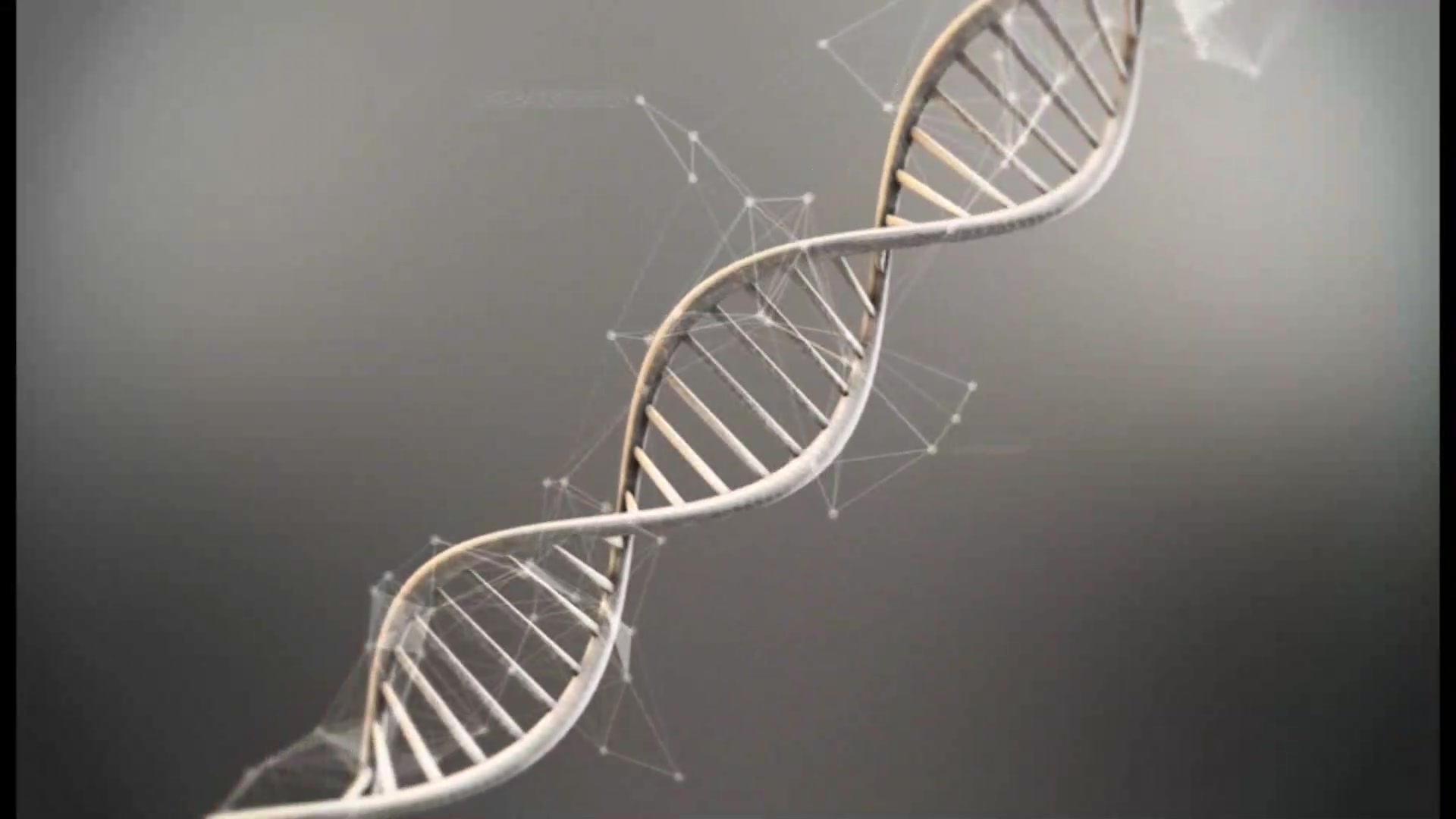 【高中物理实验】1机械运动