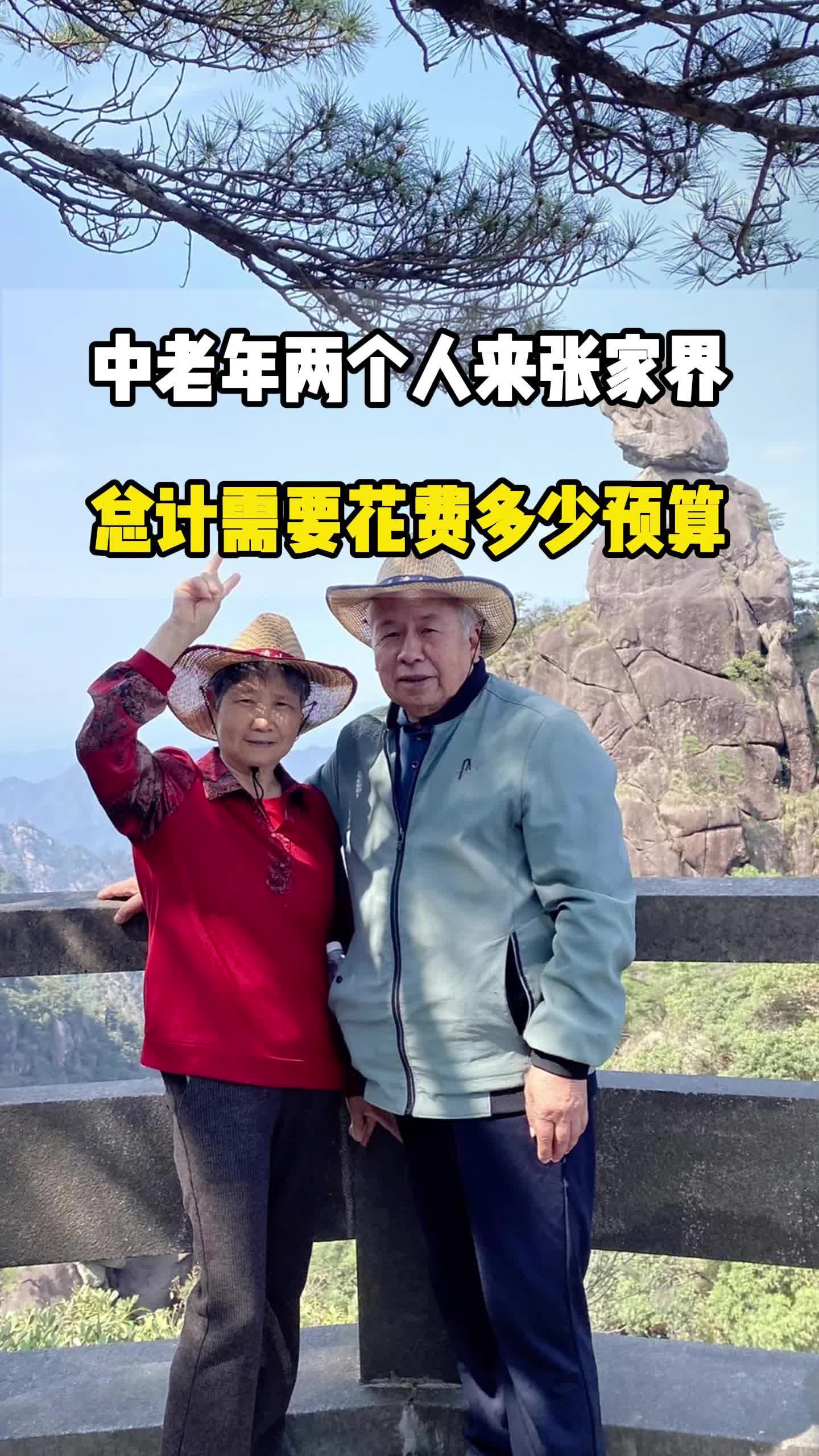 ...需要多少钱 #张家界旅游攻略 #张家界自由行攻略 #张家界自驾游旅游...