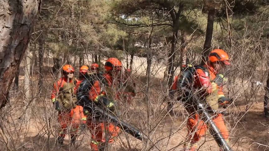 应急管理部:全国进入森林防火期 坚决防范重大火灾发生