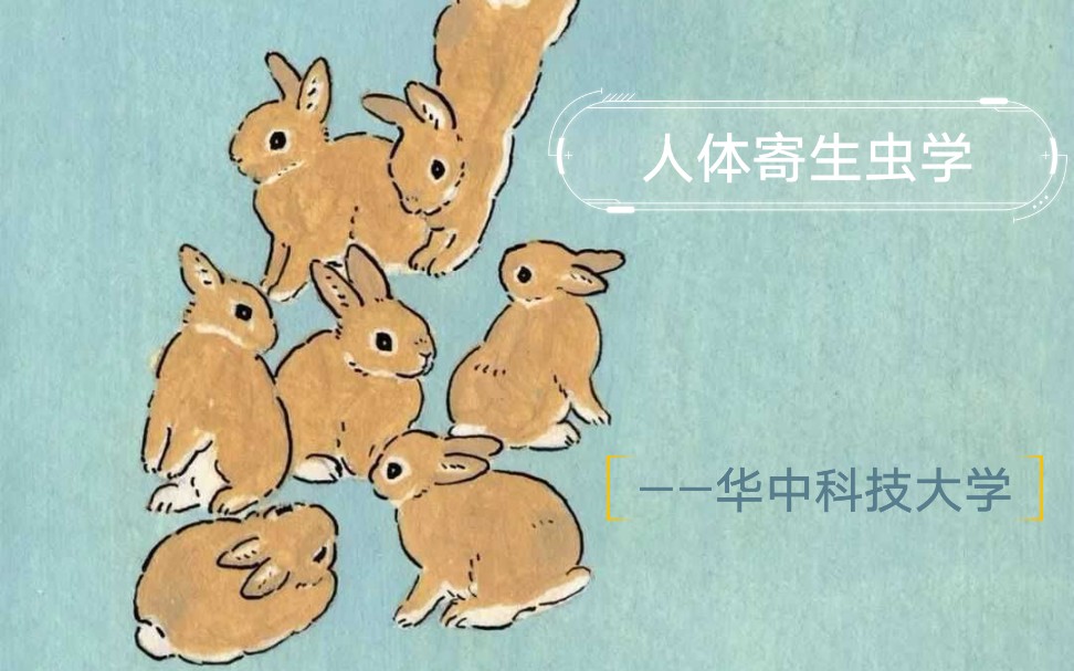 【人体寄生虫学】华中科技大学精品课