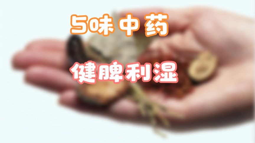 祛湿很简单,4味中药泡水喝,健脾利湿,排空湿气,一身清爽!