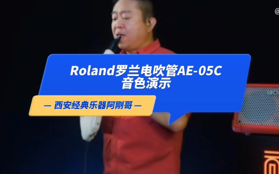 新到ROLAND罗兰电吹管AE05C音色演示,中文面板菜单双吹嘴(其中有...