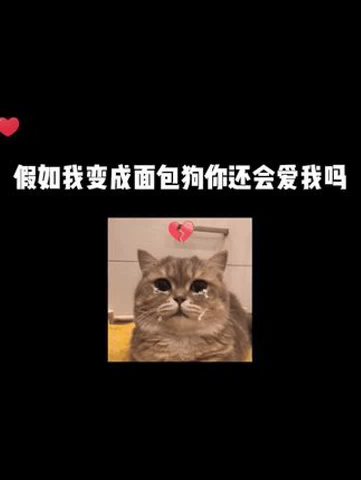 快去问问你最爱的人吧~