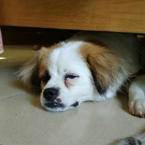 背不完生化的周哥 