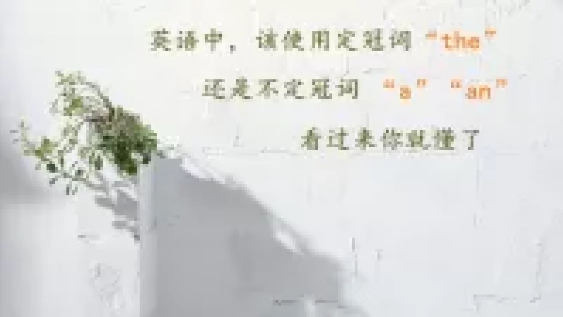 英语中关于定冠词the和不定冠词a，an用法详解，看完你就不会乱