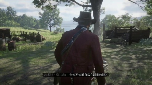 荒野大镖客2 神枪手任务--养猪人格兰杰的传奇左轮到手
