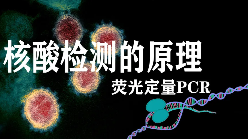 3分钟了解核酸检测的原理——什么是荧光定量PCR