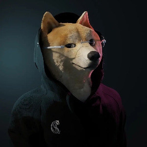 征途小伙儿 