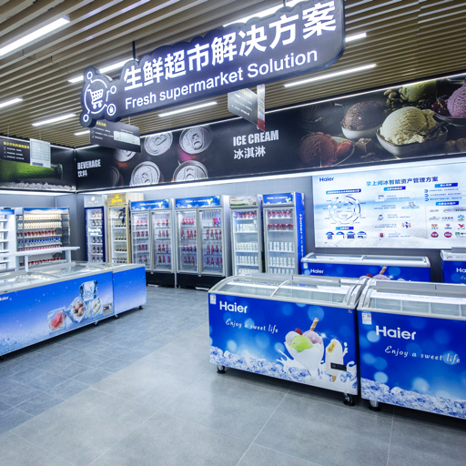 海尔冷链上海特供 