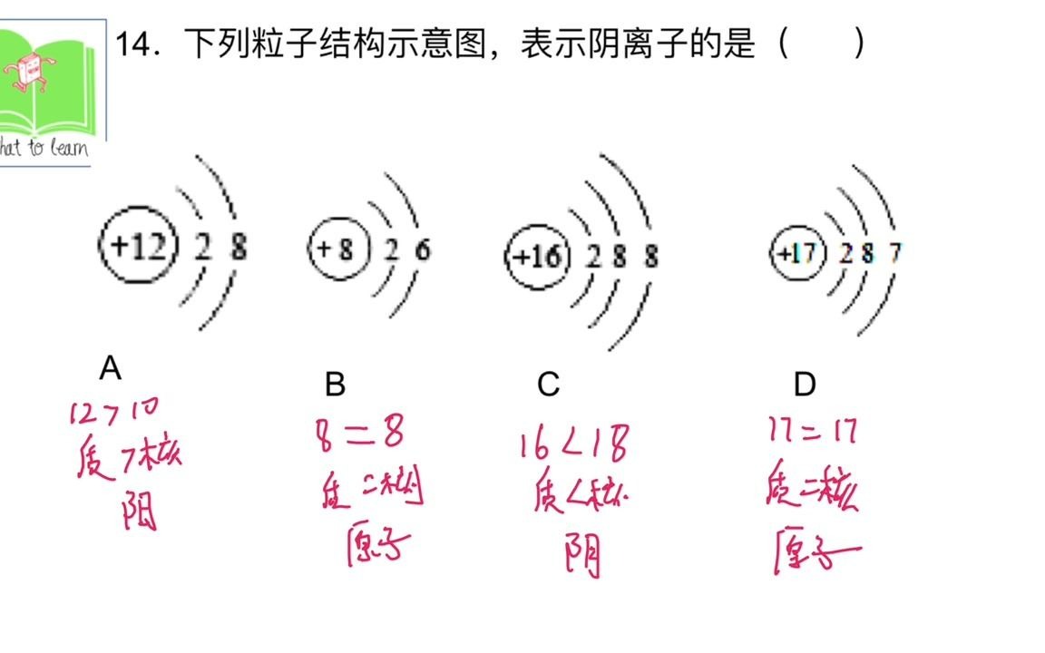 中考化学-阴离子结构示意图