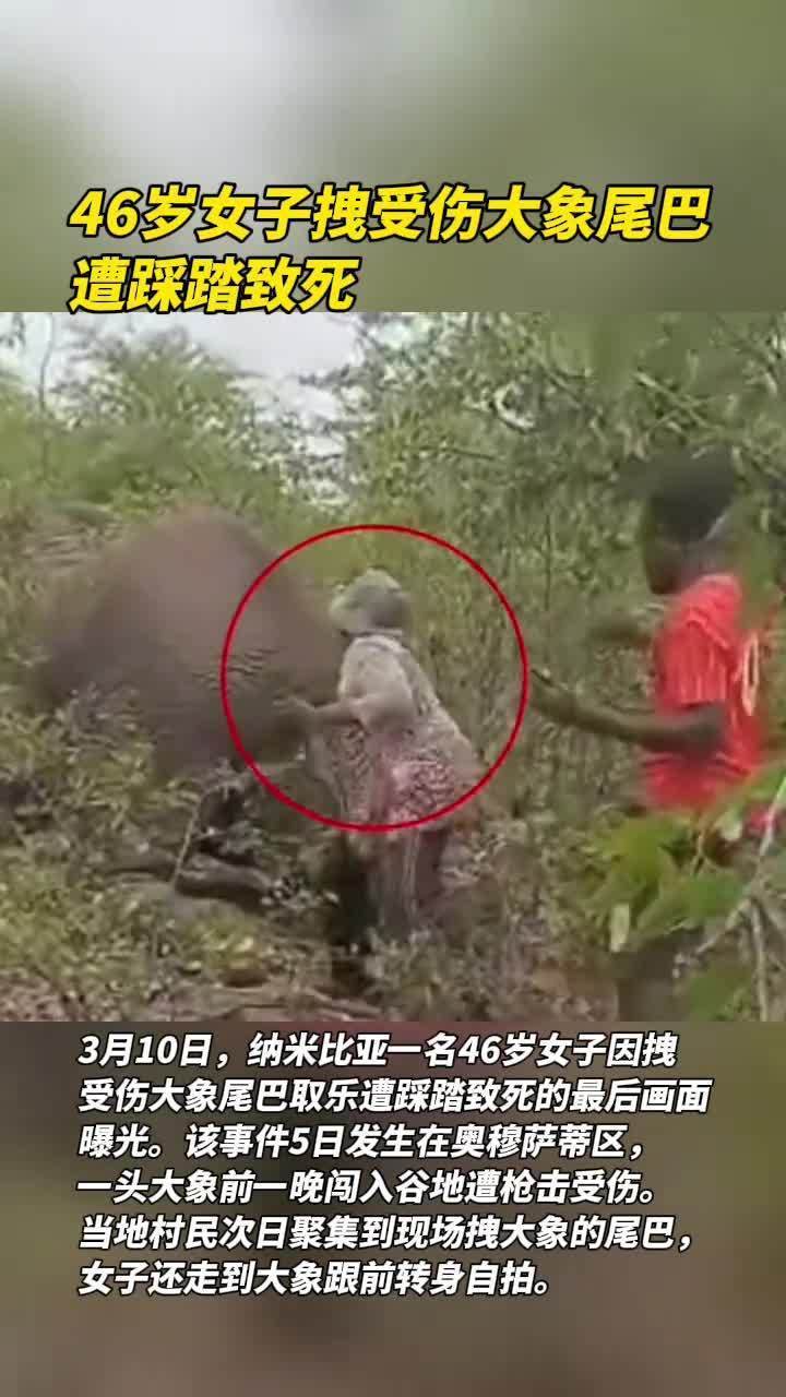 女子拽受伤大象尾巴遭踩踏致死